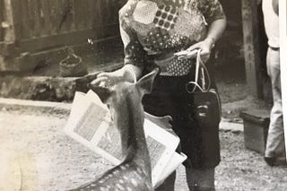 Everything is Personal | Laurie Stone | Substack