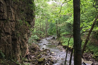 DIRT | Caroline Beck | Substack