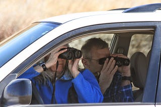 Ride or Drive | Luke Burgis | Substack