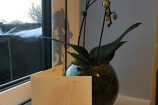 Creatively Conscious by Claire Venus | Claire Venus (she/her) | Substack