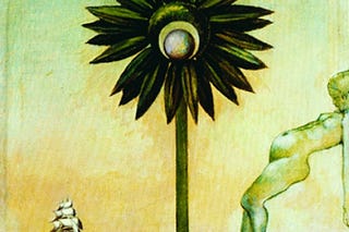 Ask Polly | Heather Havrilesky | Substack