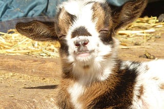 T3Uncoupled’s Substack | Substack