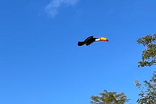 DealflowBR | Guilherme Lima | Substack