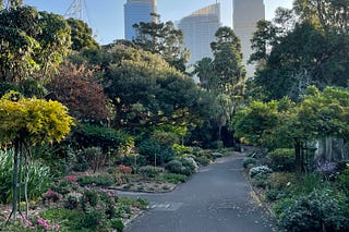 Whatever is Lovely with Lauren Chandler | Substack