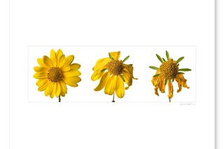 The Future Does Not Fit In The Containers Of The Past | Rishad Tobaccowala | Substack