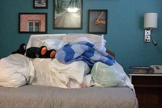 Earthbound Misfit | Dana Seilhan | Substack