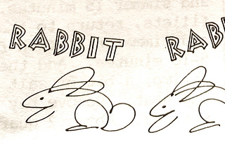 Cook & Tell | Amie McGraham | Substack