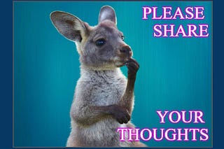 Lit Mag News | Becky Tuch | Substack