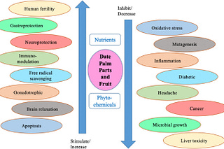 WMC Research | Walter M Chesnut | Substack