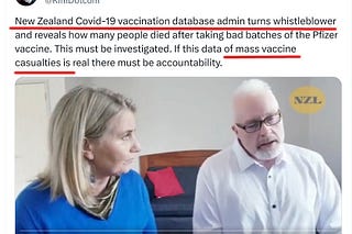 Vit Kopecky's Synthesis | Substack