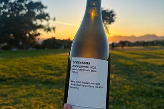 anna’s archives | Substack