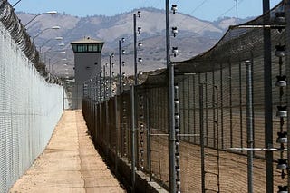 Archive - Astral Codex Ten