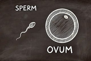 Reality’s Last Stand | Colin Wright | Substack