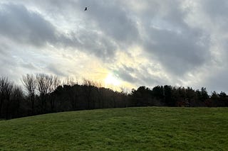 Youier | El Edwards | Substack