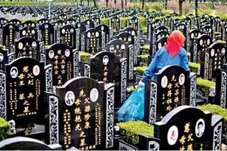 The Dunne Insights Newsletter | Michael Dunne | Substack