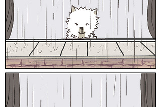 Run of the House - Comic Strip | Scott William Carter | Substack