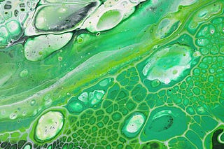 橙皮书 | leon | Substack