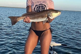 Breaking New Ground | Windsor Swan | Substack