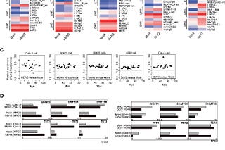 WMC Research | Walter M Chesnut | Substack