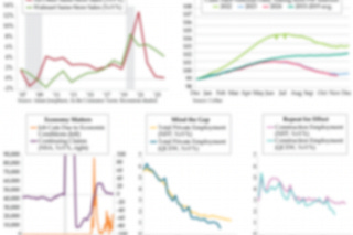 The Daily Feather | Danielle DiMartino Booth | Substack