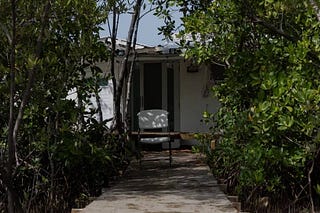 Sandra Rodríguez Cotto | Substack