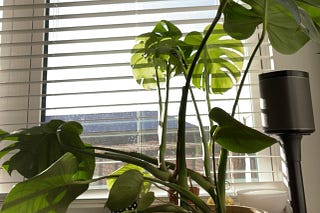 breaking the 4th wall. | billy chapata. | Substack