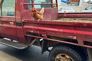 Nervous Laughter | Rick Morton | Substack