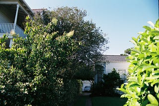 expand your experience | Taylor Simone | Substack