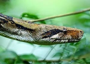 Jesus4Evers Newsletter | Dan Evers | Substack