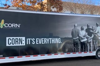 The Swine Republic | Chris Jones | Substack