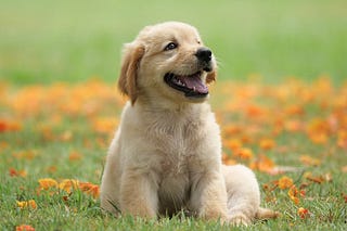 Astral Codex Ten | Scott Alexander | Substack