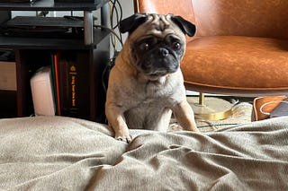 That's Marvelous! | Josh Gondelman | Substack