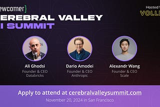 Newcomer | Eric Newcomer | Substack