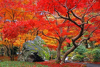 Simple Sheology | Kathleen Palmer | Substack