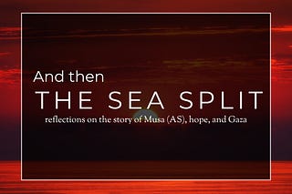 Dew Drops on a Burning Tulip | M. Saad Yacoob | Substack