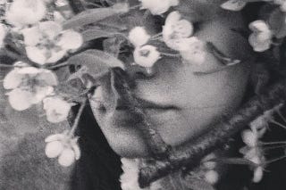 space holder | Abi | Substack