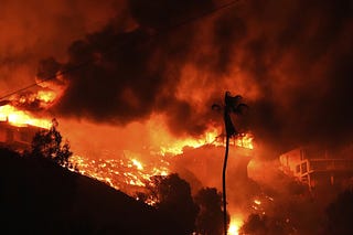 Sandra Rodríguez Cotto | Substack