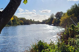 Chris’s Substack | Substack