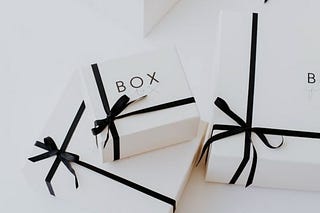 Charlotte's Book | Robin Levine Shobin | Substack