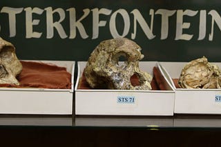 John Hawks | Substack