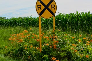 That's Good To Know | Jan Stoneburner | Substack