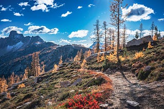 Scarlet Ink | Dave Anderson | Substack