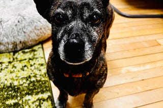 Hopefully Yours | Connie Schultz | Substack