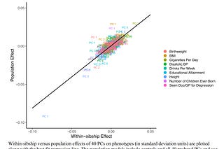 Just Emil Kirkegaard Things | Emil O. W. Kirkegaard | Substack