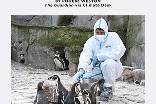 Capt. Roy Harkness’ Substack | Substack