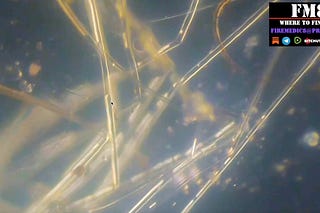 FM8’s Substack | Substack