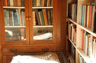 The Salvage Yard | Elizabeth Arthur | Substack