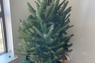 Models and Bottles | Bowtied SocialCircle | Substack