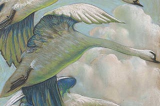 starting from nix | Nix 🕊 | Substack