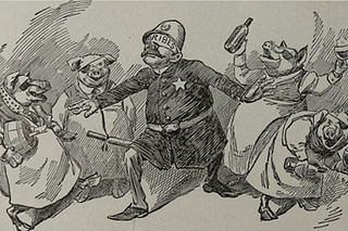 Chris’s Substack | Substack